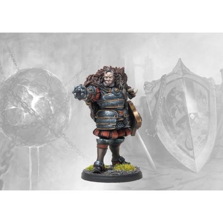 Conquest - Lore Campaign Pack - Crucible of Wills - The Stone Face Campaig