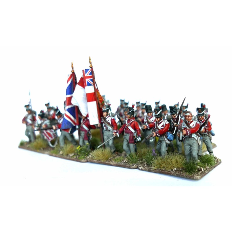 Victrix Miniatures - Waterloo British Infantry Centre Companies