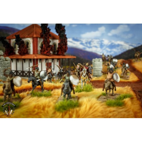 Victrix Miniatures - Numidian Cavalry