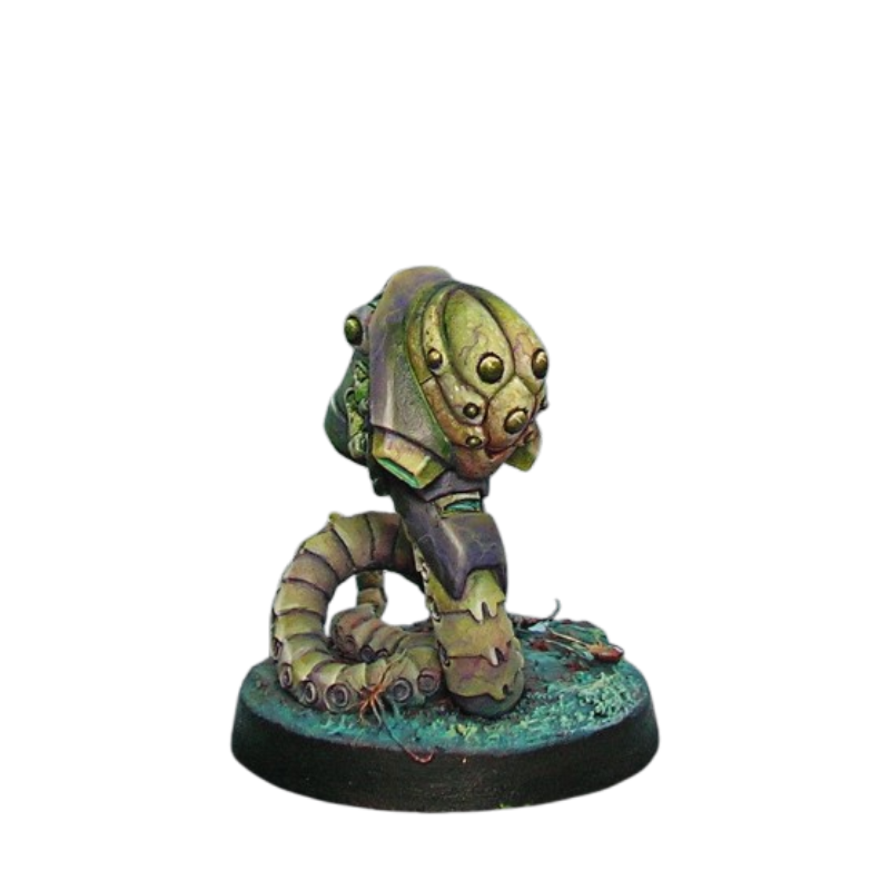 Préco - Infinity - Combined Army Support Pack