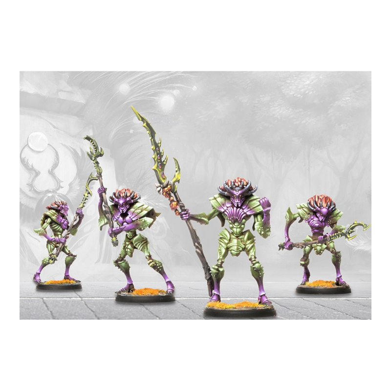 Préco - Conquest - Weaver Courts - Morrowen